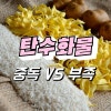 탄수화물 중독 Vs 부족 안먹으면 하루 섭취량 네이버 블로그